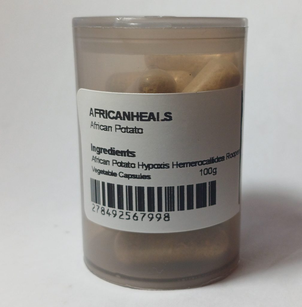 african-potato-hypoxis-rooperi - Mpesu